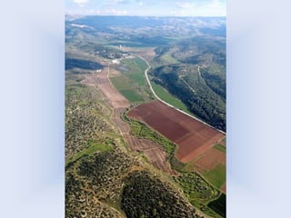 The Faith of David | PPTX