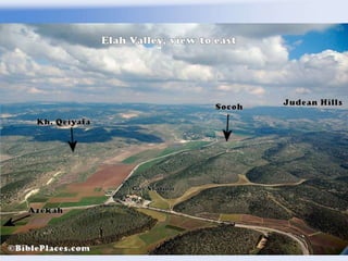 The Faith of David | PPTX