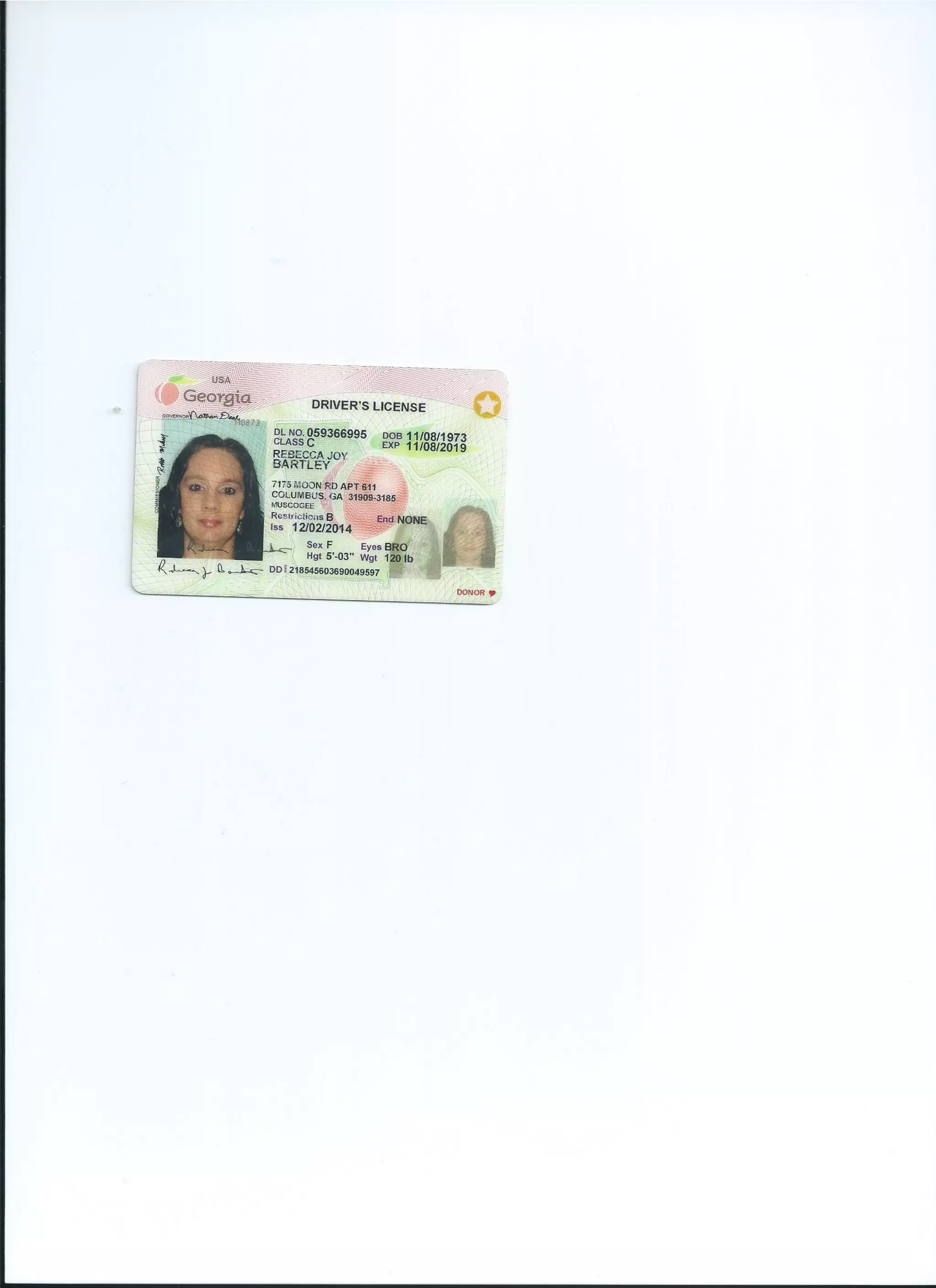 Driver's License | PDF