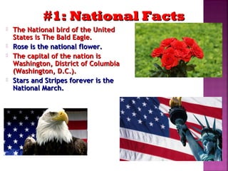 Amazing facts about the usa | PPT