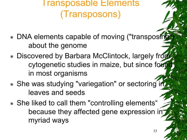 transposons complete ppt | PPTX | Genetics | Science