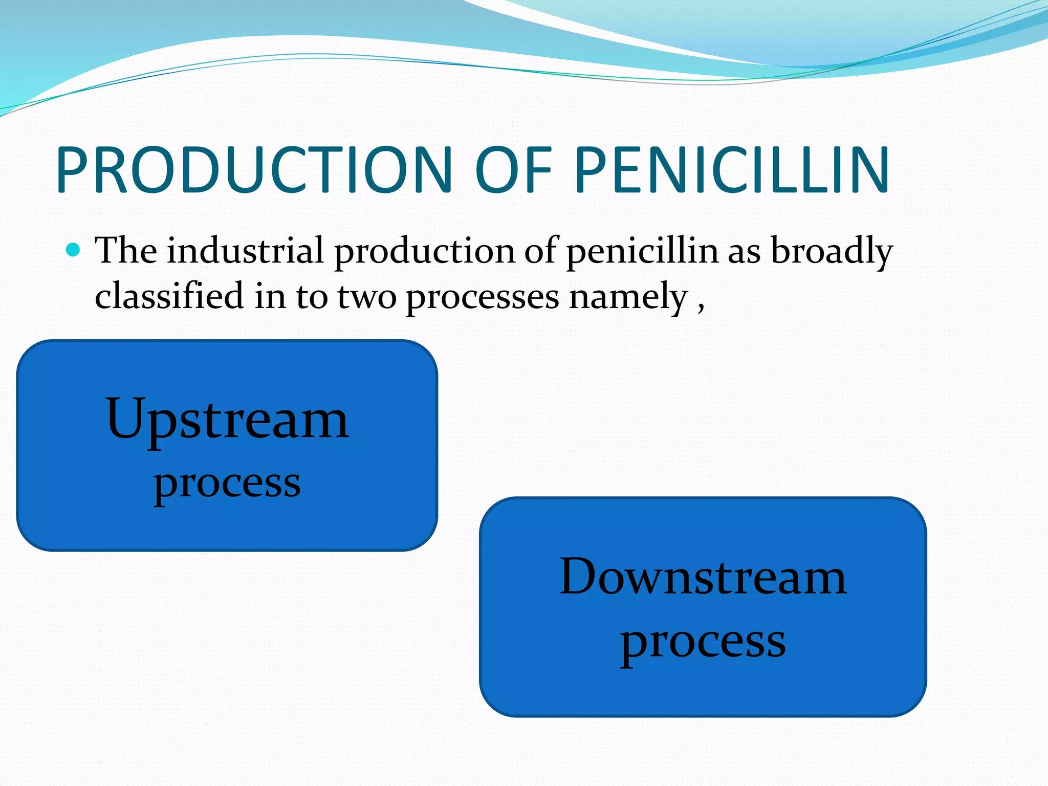 penicillin | PPTX