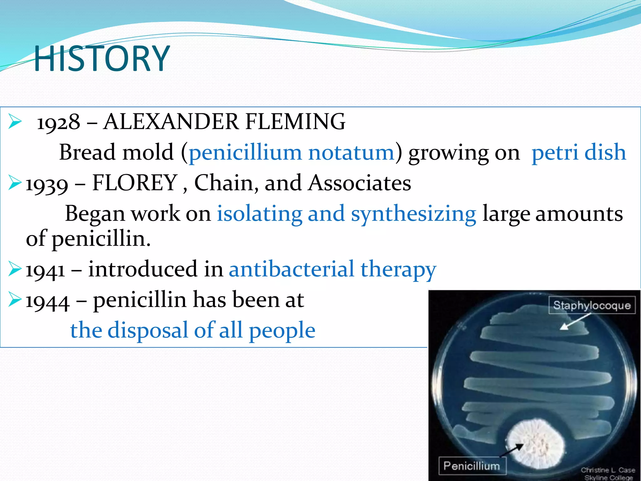 penicillin | PPTX