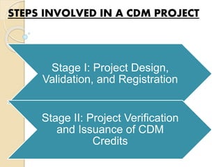 Various steps involved in a Clean development management project | PPT