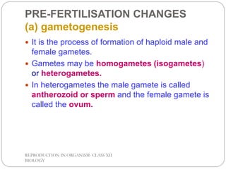reproduction in organisms for class 12 in biology | PPT