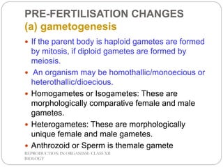 reproduction in organisms for class 12 in biology | PPT