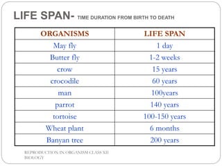 reproduction in organisms for class 12 in biology | PPT