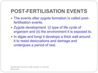 reproduction in organisms for class 12 in biology | PPT