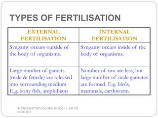 reproduction in organisms for class 12 in biology | PPT