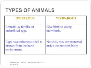 reproduction in organisms for class 12 in biology | PPT