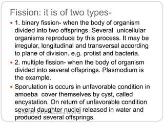 reproduction in organisms for class 12 in biology | PPT