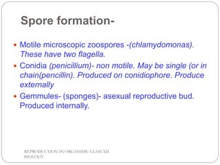 reproduction in organisms for class 12 in biology | PPT