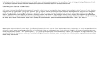 CELL INJURY , ITS BRIEF SUMMARY AND PATHOLOGY | PPT