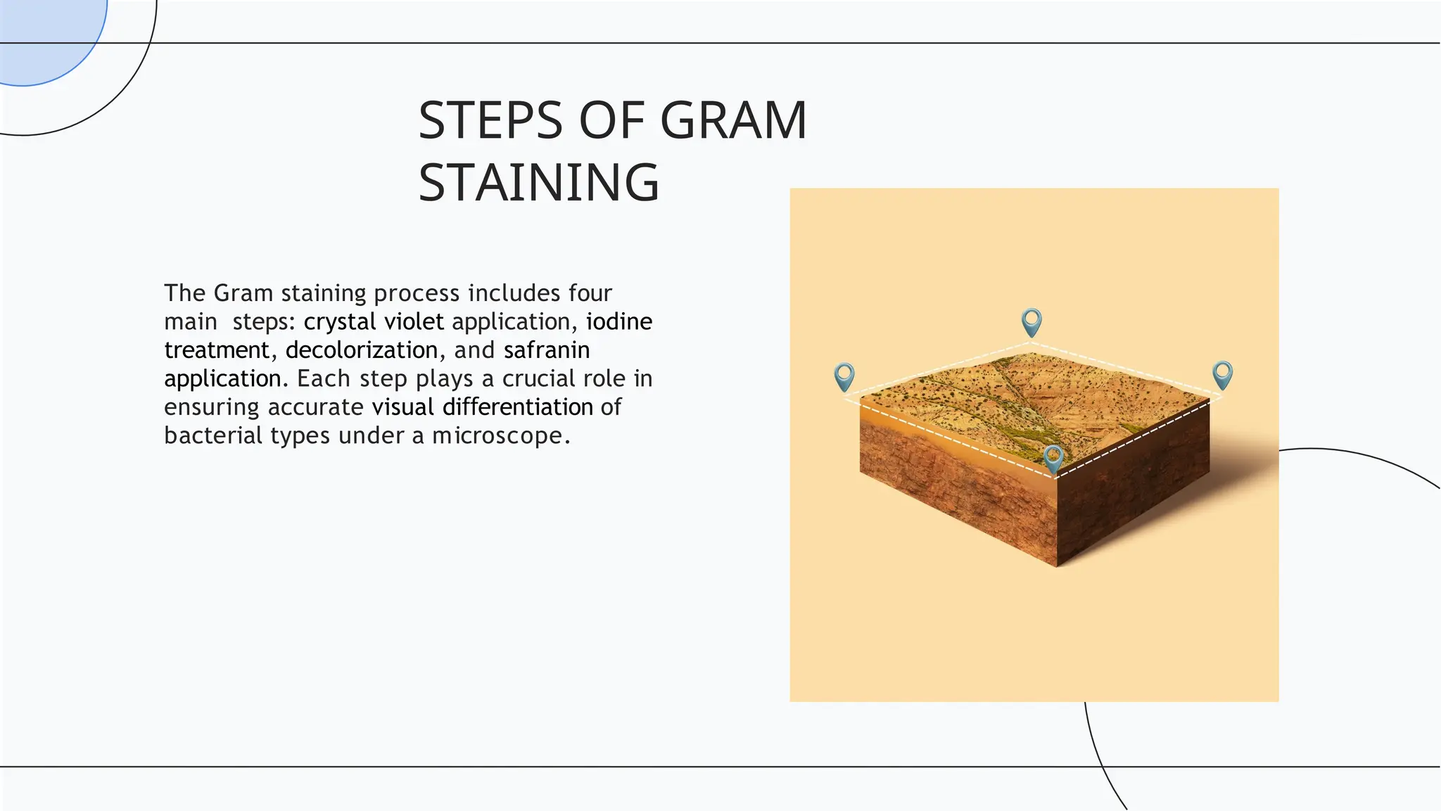 111.gram staining pharmaceutical engineering | PPT