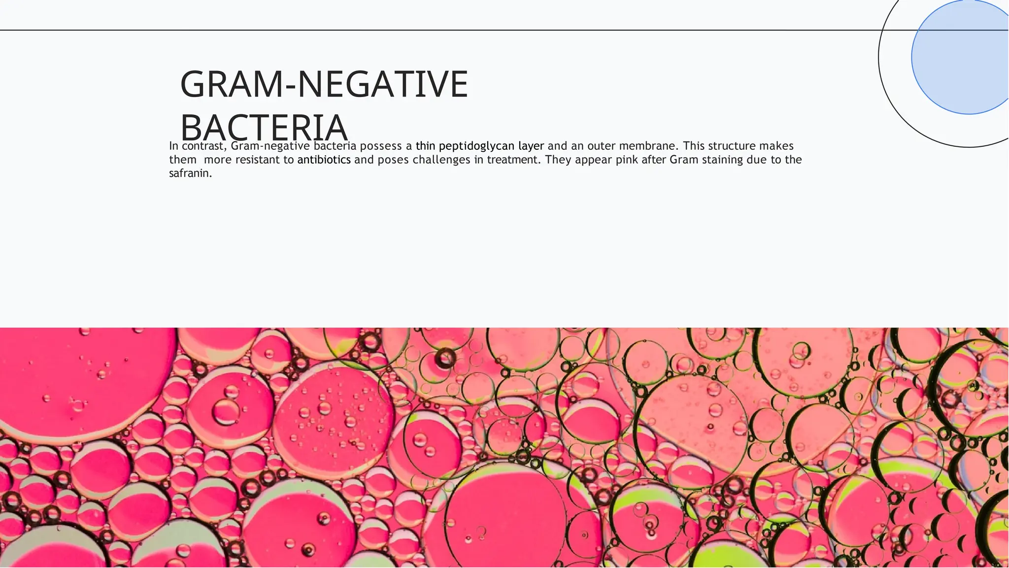 111.gram staining pharmaceutical engineering | PPT
