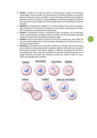 11 (1) biologia | DOCX | Chemistry | Science