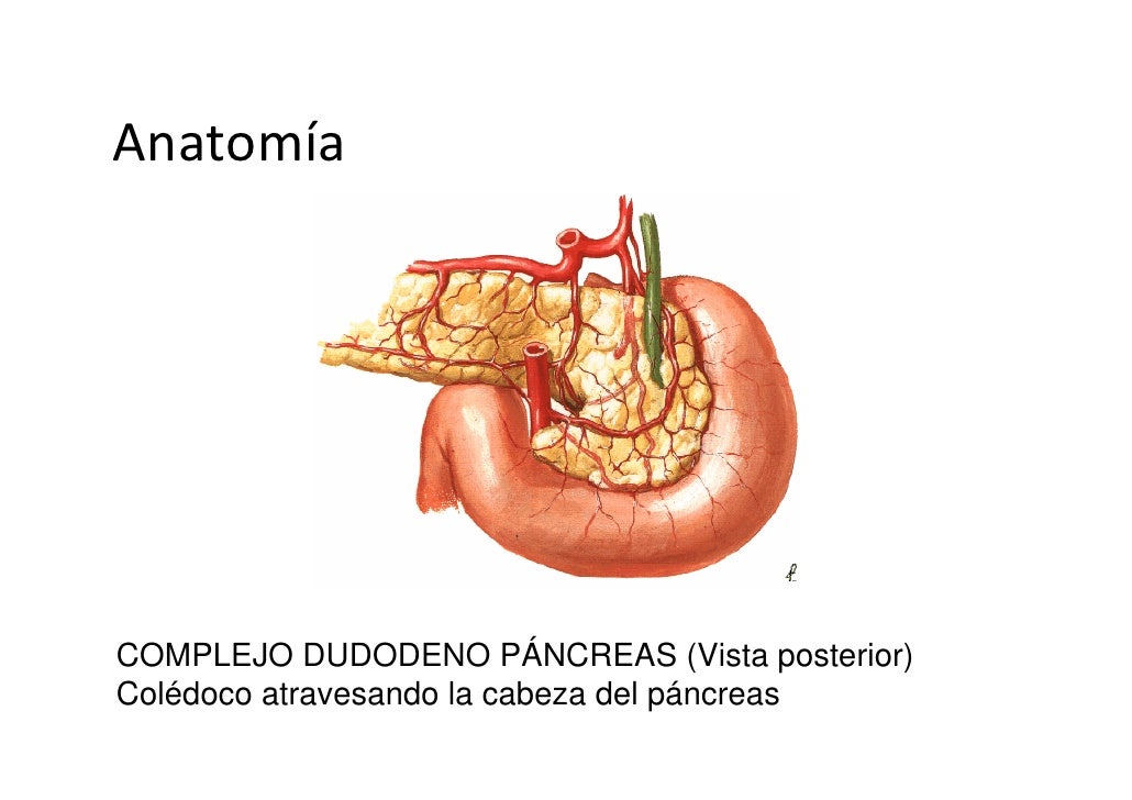 sindrome coledociano