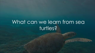 Turtles, Trust and The Future of Cybersecurity | PDF | Operating ...
