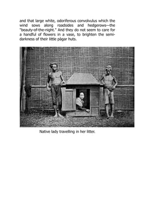 Social Structure Of Society And Middle Class Textbook | PDF