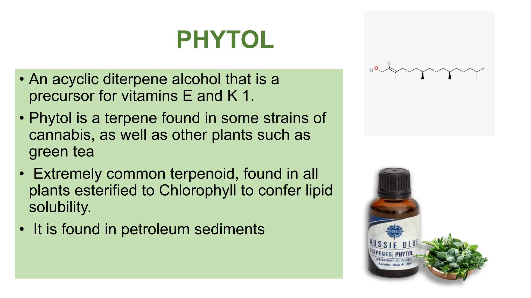 Terpenoids: types, biosynthesis and functions. | PPTX