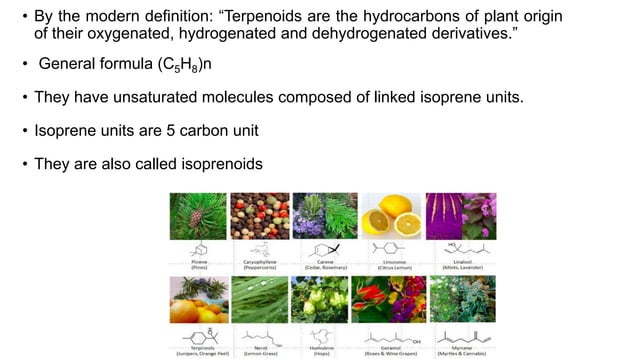 Terpenoids: types, biosynthesis and functions. | PPTX | Science