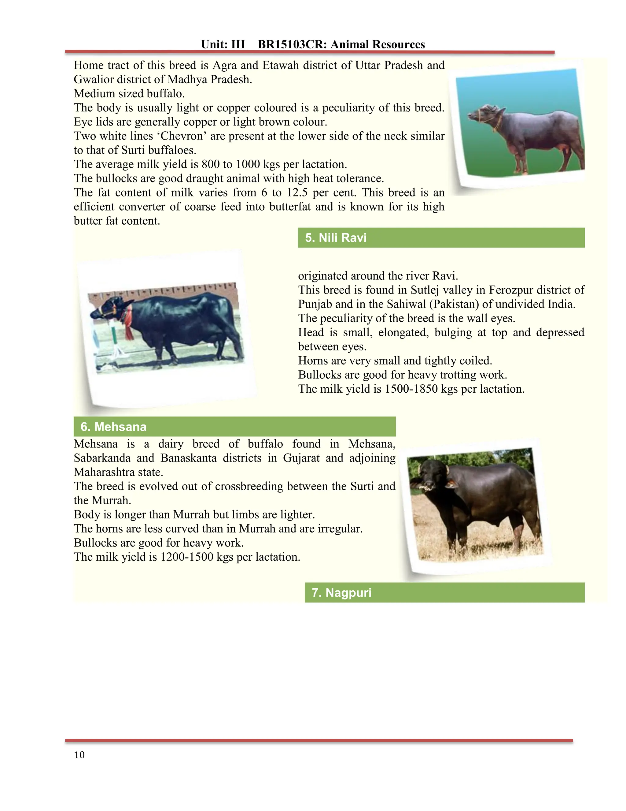 Breeds of Cattle and Buffalo Breeds of cattle and buffalo.pdf