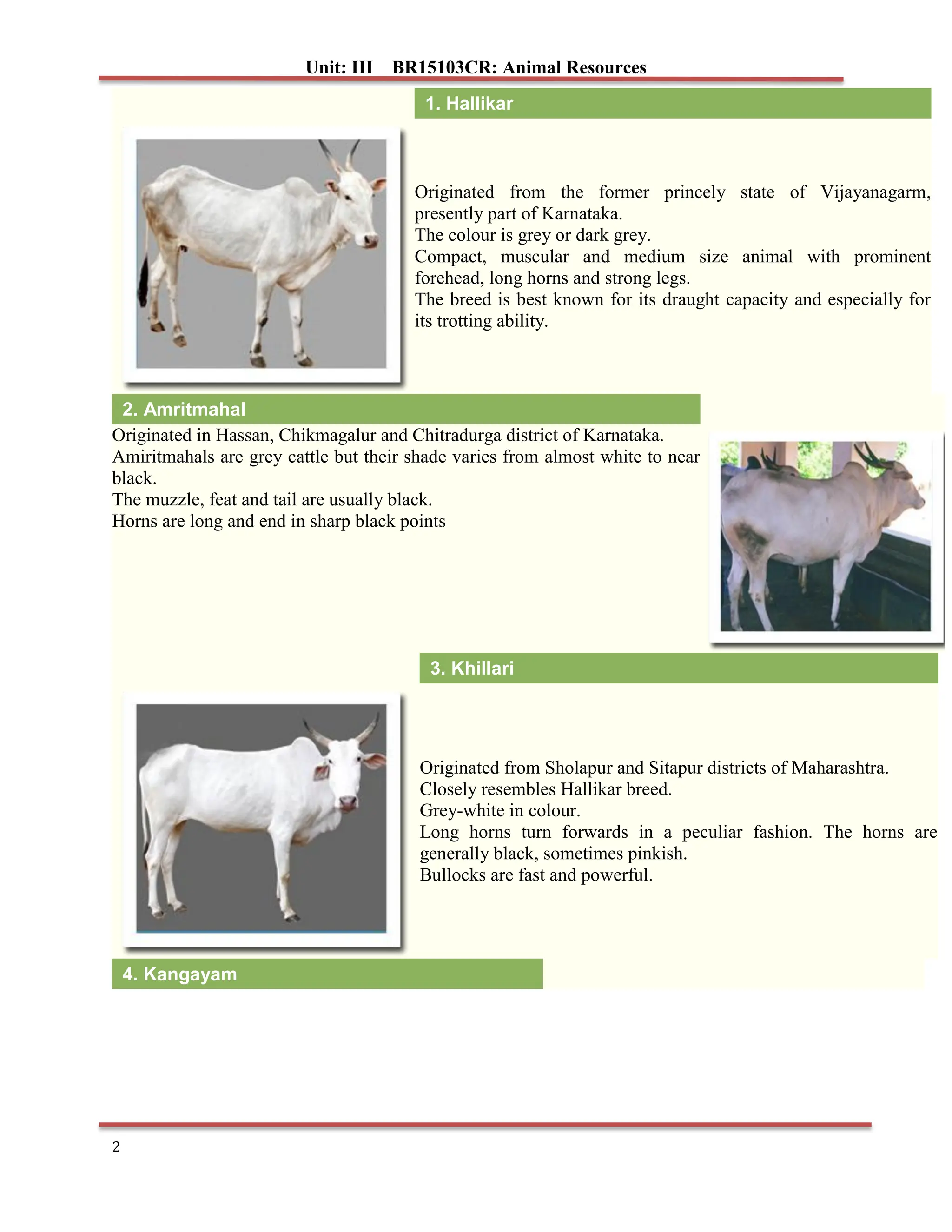 Breeds of Cattle and Buffalo Breeds of cattle and buffalo.pdf