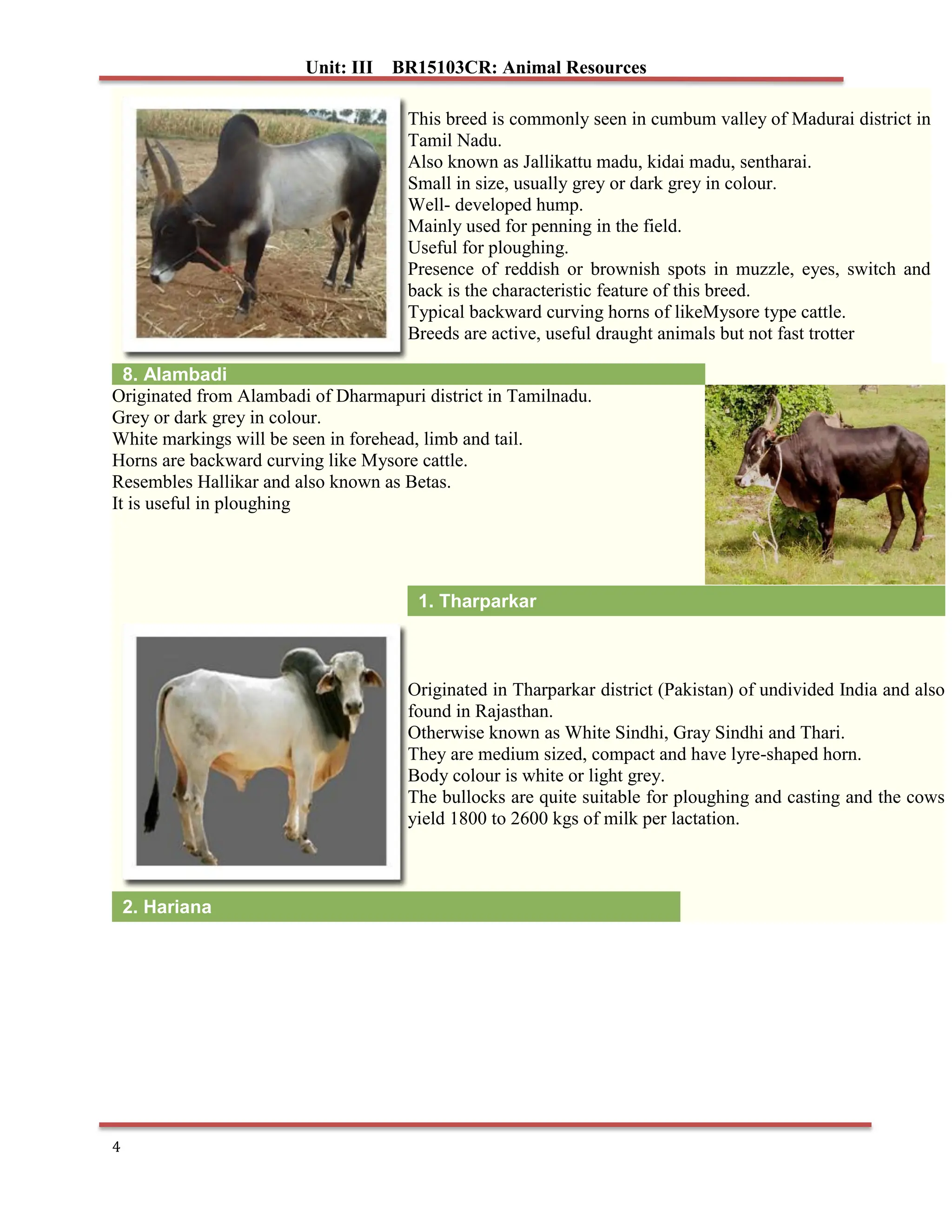 Breeds of Cattle and Buffalo Breeds of cattle and buffalo.pdf ...