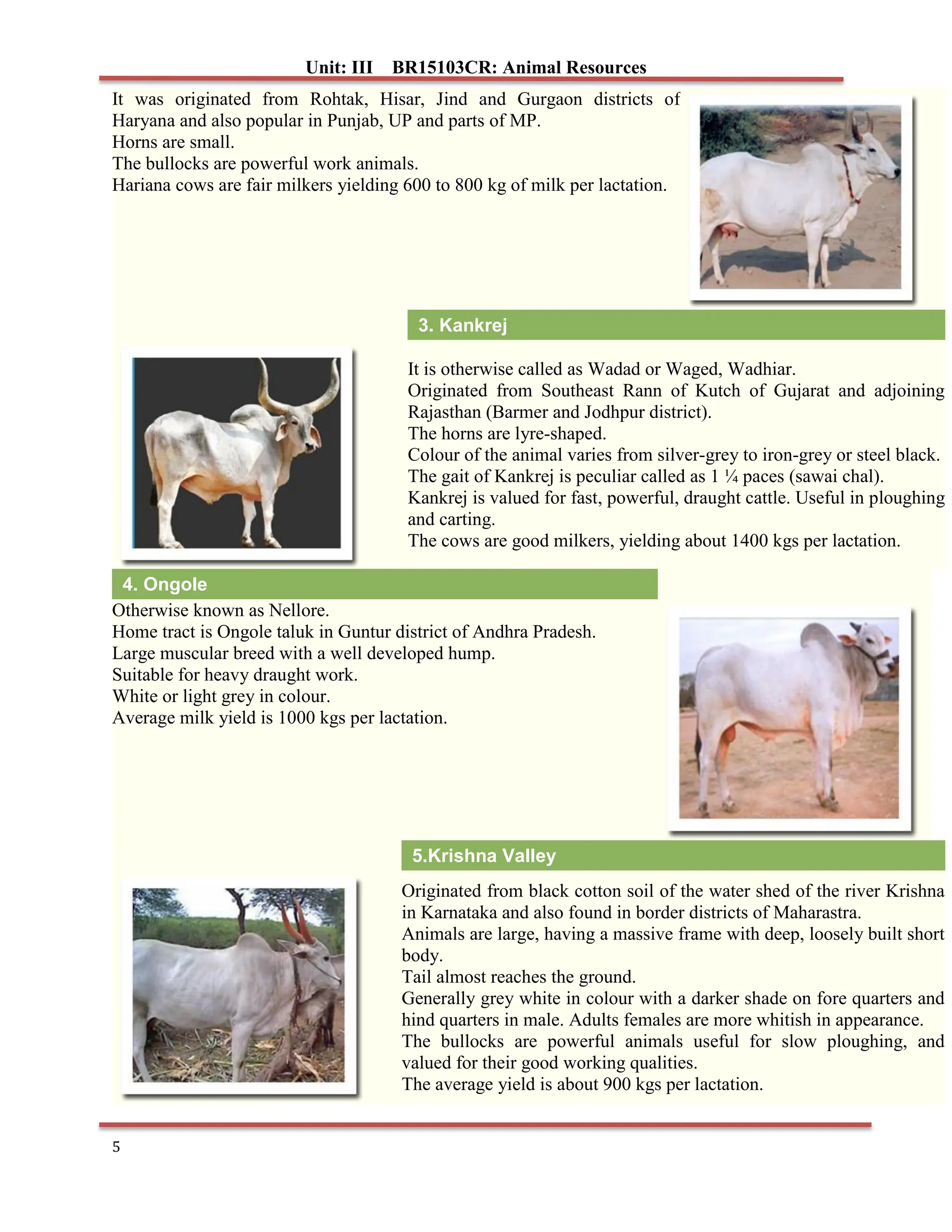 Breeds of Cattle and Buffalo Breeds of cattle and buffalo.pdf