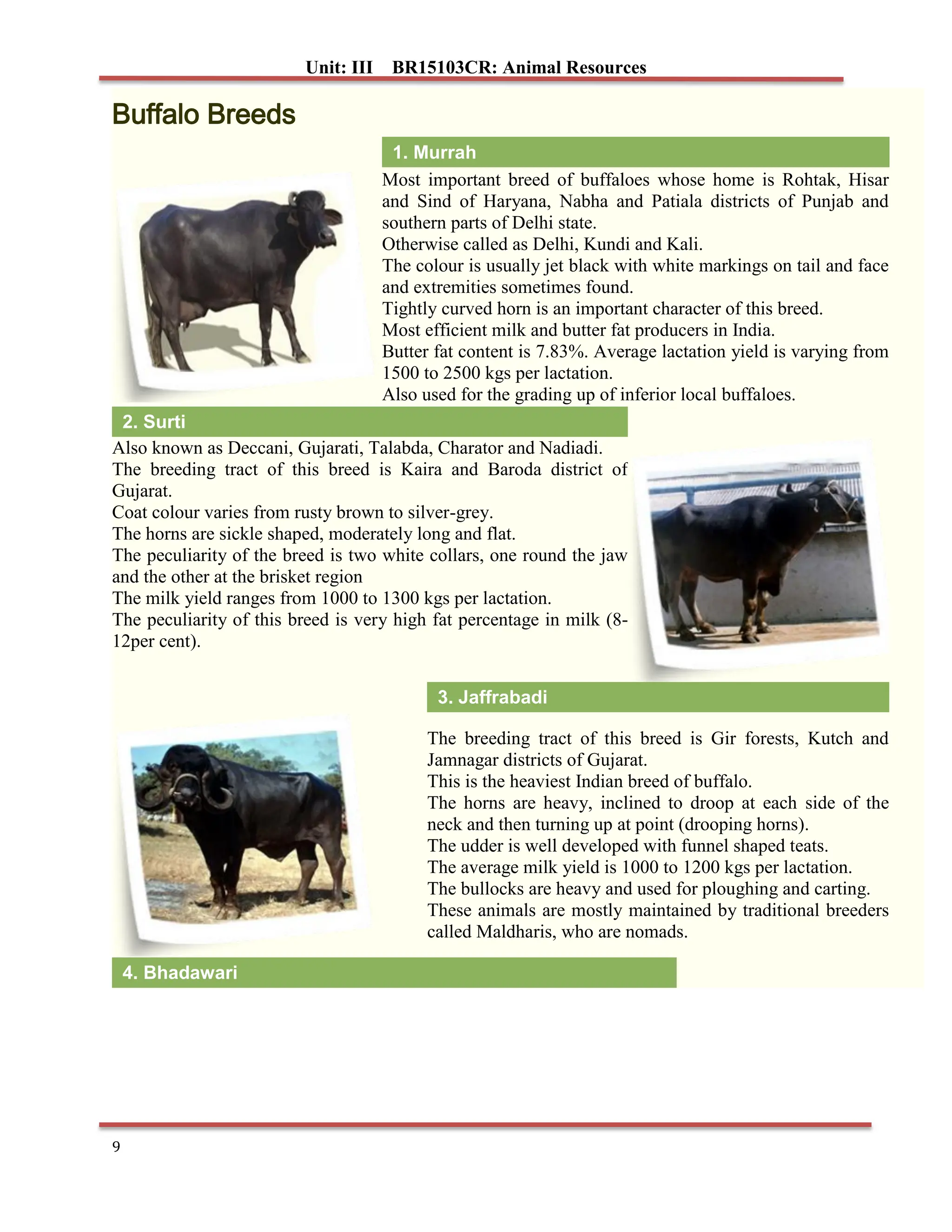 Breeds of Cattle and Buffalo Breeds of cattle and buffalo.pdf