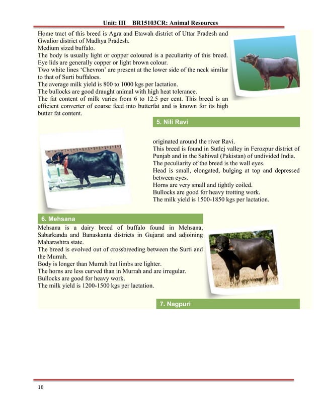 Breeds of Cattle and Buffalo Breeds of cattle and buffalo.pdf