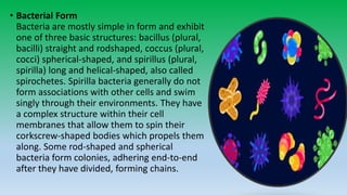 11111education english practical wo.pptx