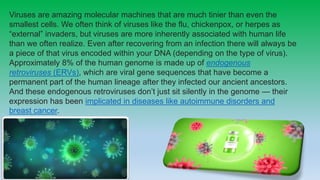 11111education english practical wo.pptx