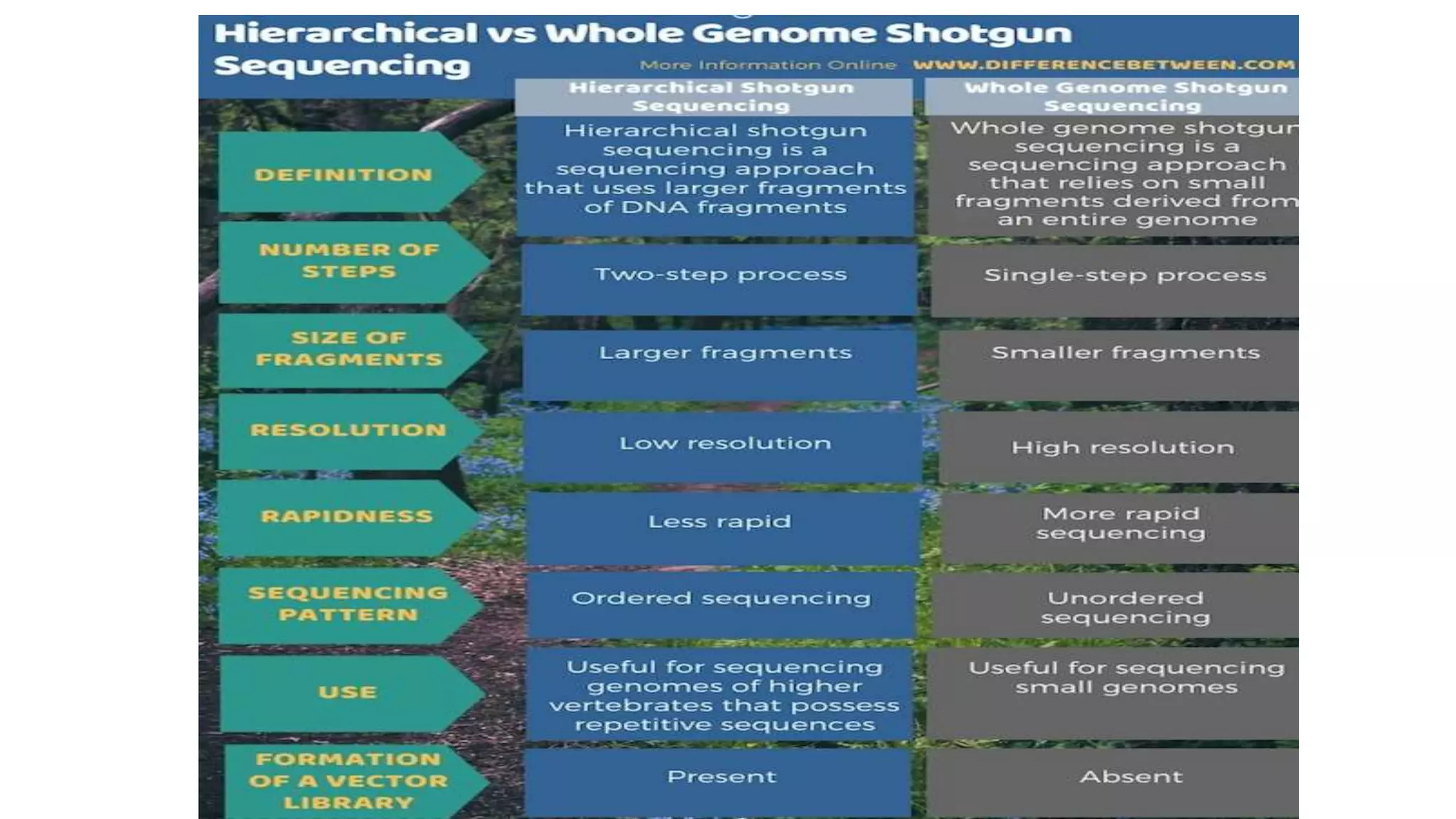 shotgun sequncing | PPTX