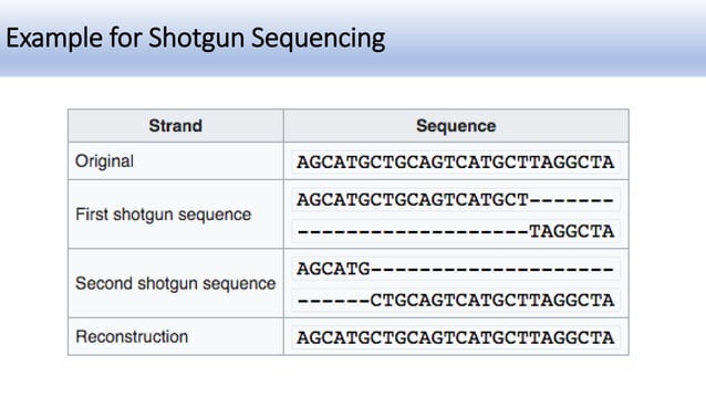 shotgun sequncing | PPTX | Genetics | Science