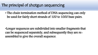 shotgun sequncing | PPTX