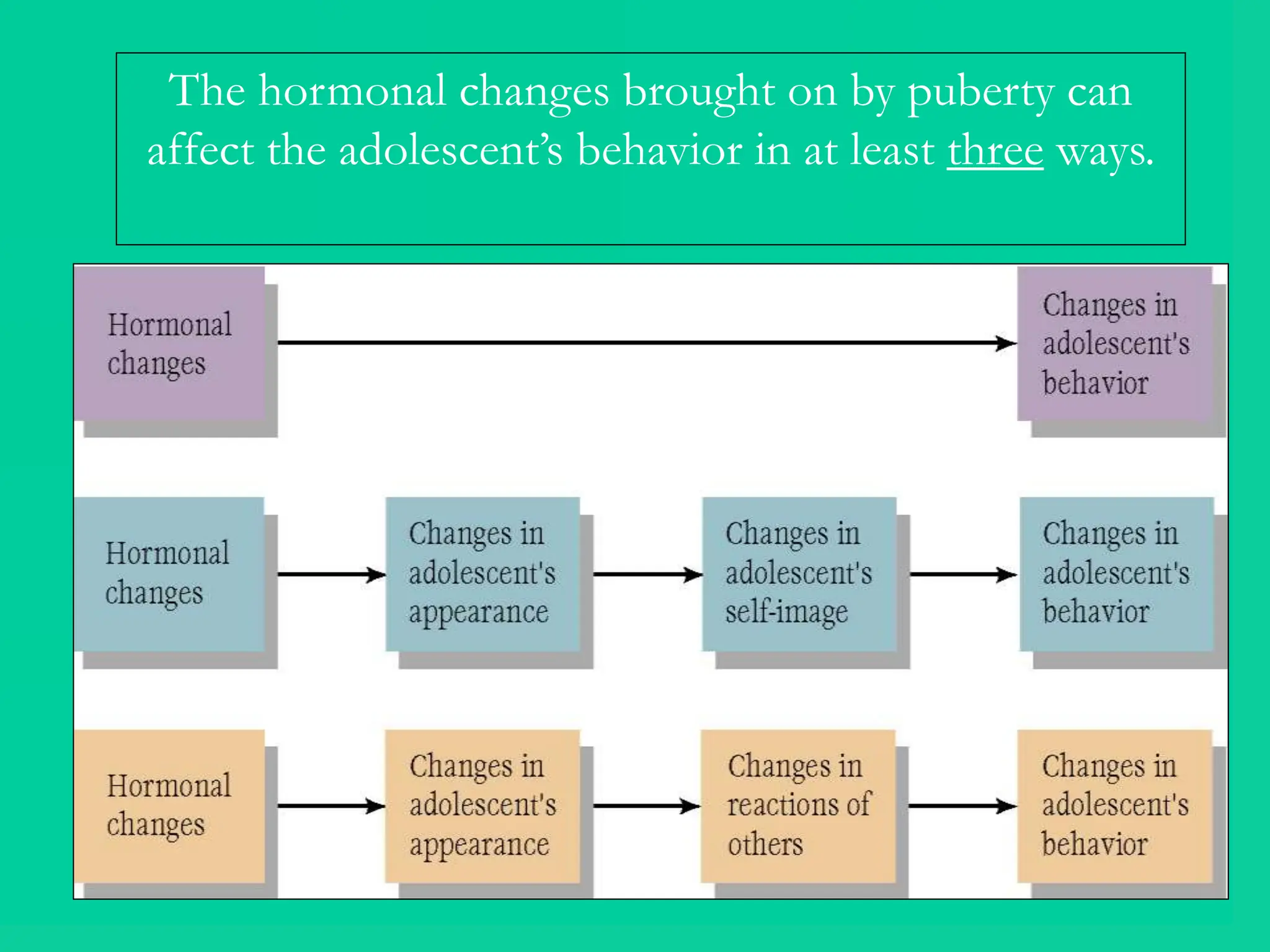Adolescent Psychology Presentation Slides.ppt