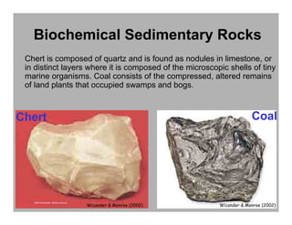 Biochemical Sedimentary Rocks