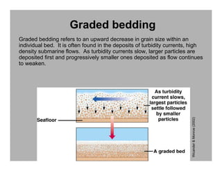 Graded Bedding Diagram
