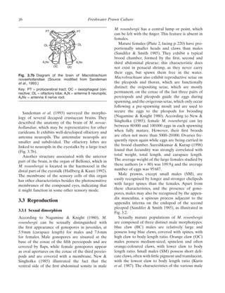 Freshwater Prawn Culture The Farming Of Macrobrachium Rosenbergii ...