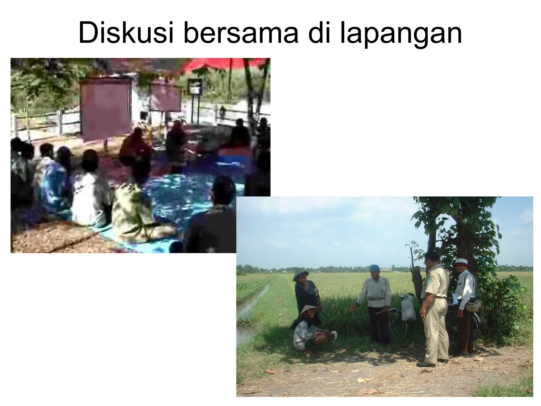 11117633(111111111111111).........................ppt