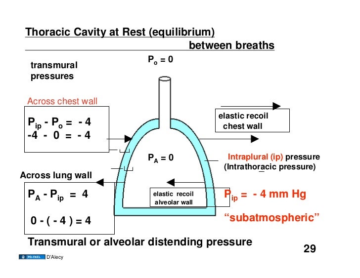11.12.08(b): Respiratory Mechanics I