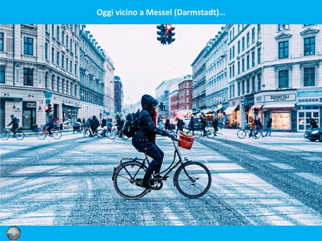 Paleogene, Neogene e Quaternario: il regno dei mammiferi | PPT