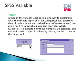 SPSS How to use Spss software | PPTX