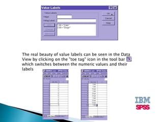 SPSS How to use Spss software | PPTX
