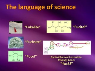 Psychology, Science, and Pseudoscience: Class #02 (Appearance of ...