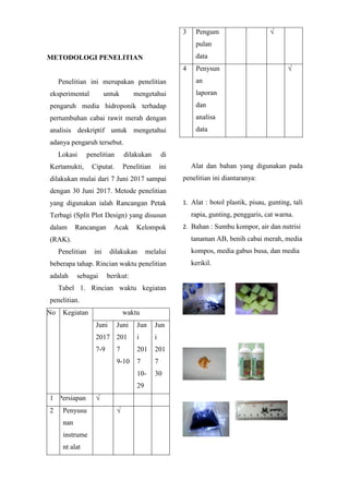PERTUMBUHAN DAN HASIL CABAI RAWIT MERAH (Capsicum annum L.) PADA SISTEM ...