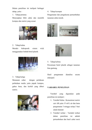 PERTUMBUHAN DAN HASIL CABAI RAWIT MERAH (Capsicum annum L.) PADA SISTEM ...