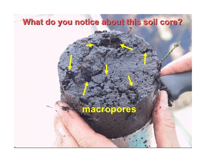 Site and Soil Evaluation and Soil Protection