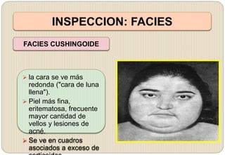 Semiologia De Cara Ppt